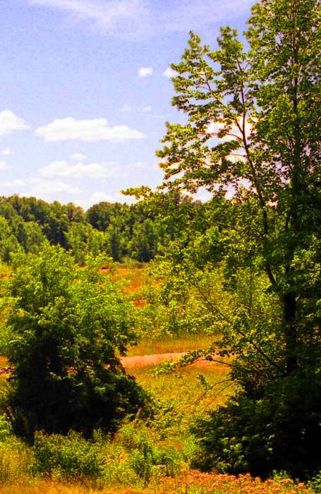 Doctrine and Covenants Revelation Sites – Simeon Carter Home