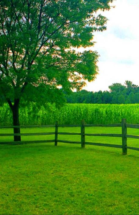 Doctrine and Covenants Revelation Sites – Peter Whitmer Sr. Log Home